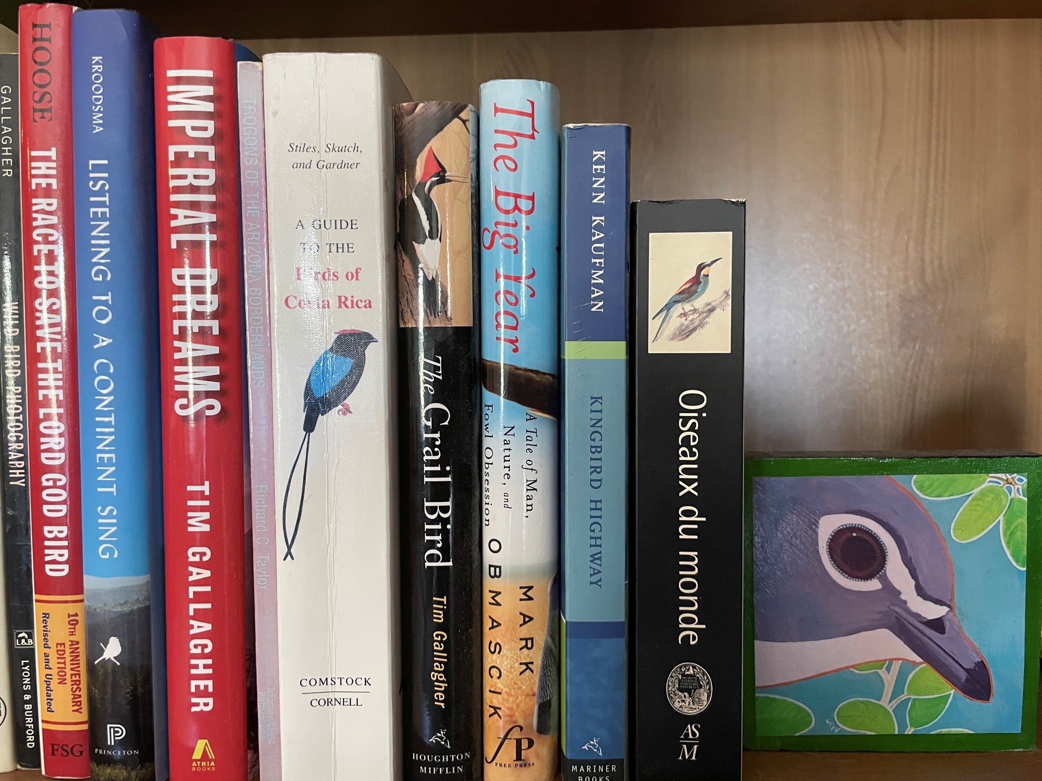 Discover Birding ⋆ Tucson Bird Alliance